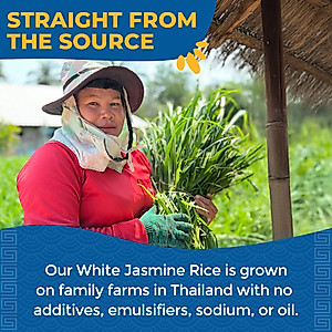 Lotus Foods Organic White Jasmine Rice Heat & Eat Pouch - Gluten Free White Rice, Organic Rice, Instant Microwave Jasmine Rice, Microwavable Pre Cooked Rice - 8 Oz (Pack of 6)