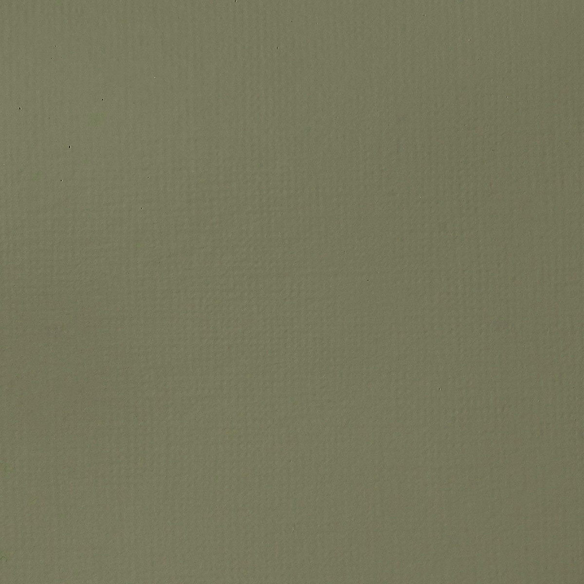 Liquitex BASICS Acrylic Paint, 118ml (4-oz) Tube, Green Gray