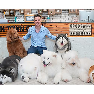 ARTINME Dog Lover Sign Wall Decor ,Take A Moment To Paws sign Pet Paw Print Artwork Footprints Canvas Wall Art ,Framed Animal prints Puppy Gifts for Front Door home decoration (Black)