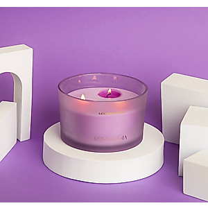 SCENTALGIA Scented Soy Candle Jar with Lavender Cotton Fragrance - 3 Wick Large Candles with Long-Lasting 55 Hours Burn Time - Perfect for Home, Office, Spa, Yoga, Meditation & Gifts