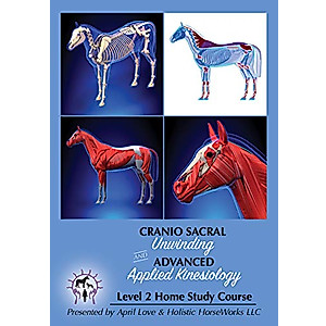 Holistic Horseworks Level 2 Equine Whole Body CranioSacral Unwinding And Advanced Applied Kinesiology Horse DVD Home Study Course - Level 1 Equine Musculoskeletal Unwinding Required