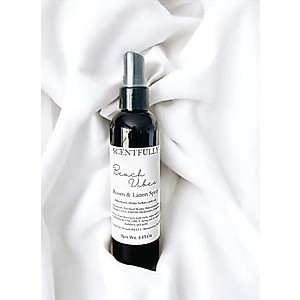 Beach Vibes (Beach Vibes Room & Linen Spray)