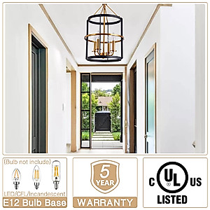 Modern Chandelier,4-Light Lantern Pendant Light,Matte Black and Brass Finish, Light Fixtures Ceiling Hanging,Chandelier Light Fixture for DiningRoom,Kitchen,Foyer,Entryway