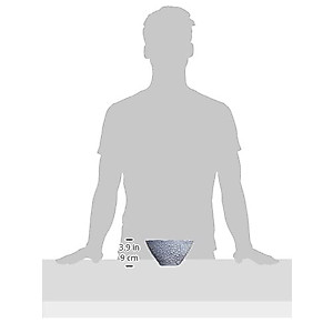 Aito Seisakusho 267822 Lien Salad & Fruit Bowl, Dish, Diameter Approx. 7.1 x Depth 6.7 inches (18 x 17 cm), L, Gray, Mino Ware Made in Japan