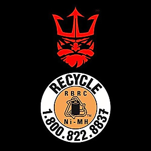 Neptune Power Replacement Battery for Razor E125 Version 16-37 & Razor E150 Version 1-5 with F1 Terminals - 2 Pack (Batteries Only)