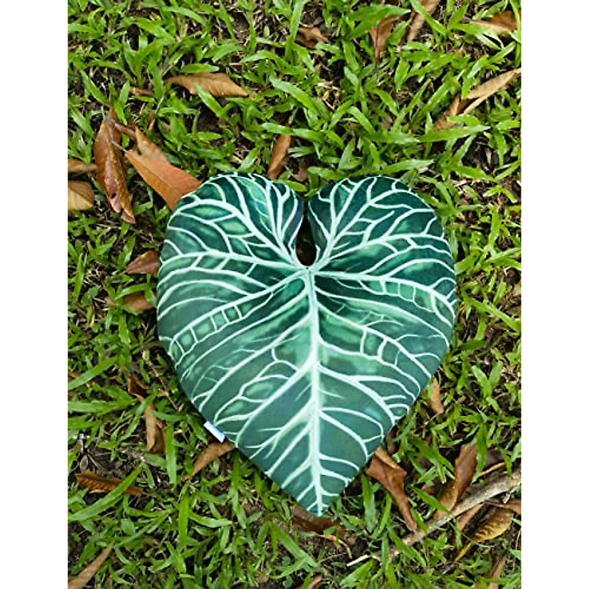 HOFFENDER Leaf Pillows Plant Pillows for Bedroom, Living Room and Patio Green Throw Pillows (Anthurium Regale)