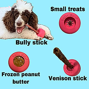 Bully Stick Holder for Dogs - Size Small Interactive Dog Toy, Dog Treat Holder, Slow Feeder, Treat Dispenser, Chew Toy and Dog Safety Device