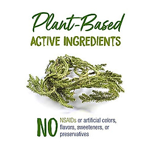 Boiron Lycopodium Clavatum 30C Homeopathic Medicine for Relief from Bloating, Gas Relief, and Stomach Pressure or Discomfort, 3 Count (Pack of 1) (Total 240 Pellets)