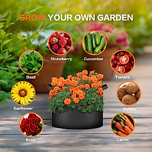 iPower 3 Gallon Heavy Duty Thickened Aeration Grow Bags Nonwoven Fabric Pots with Strap Handles Container for Gardening, 5-Pack Black