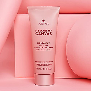 Alterna My Hair My Canvas Meltaway No-Rinse Micellar Cleanser 3.4 Fl Oz | Vegan | Fast Drying Creme-to-Powder Cleanser, Absorbs Oil & Sweat for Shower Clean Hair | Peta Tested, 3.4 fl. oz.