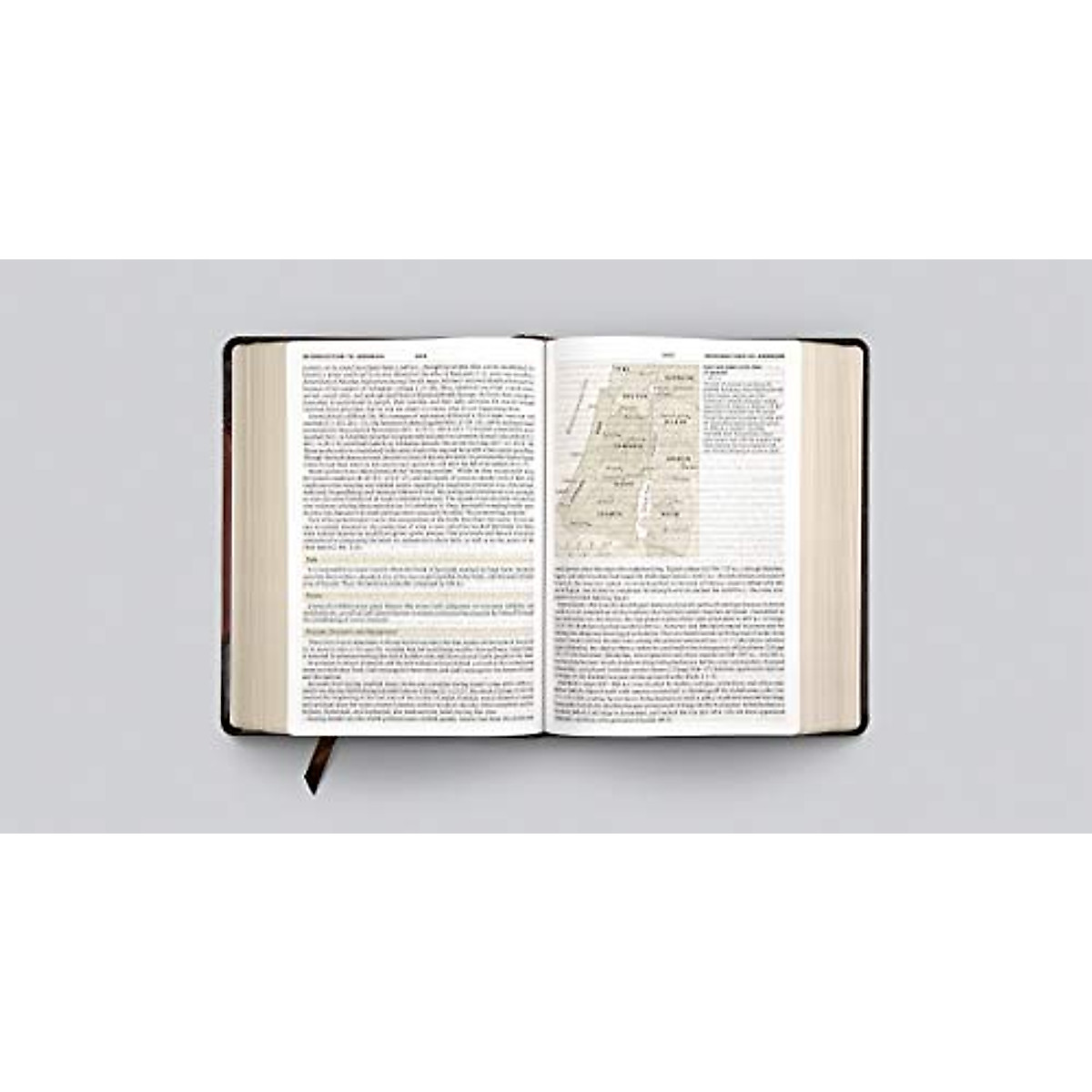 ESV Study Bible, Large Print (TruTone, Brown/Cordovan, Portfolio Design)