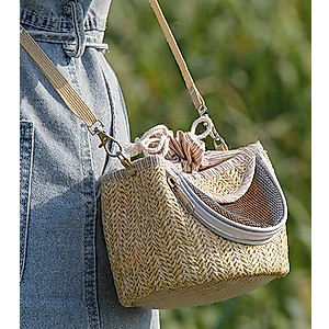 Small Pet Carrier Bag Hamster Carrier Bag with Long Detachable Shoulder Strap, Light Coffee Color Straw Mesh Breathable Portable Outgoing Bag for Hamster Hedgehog Sugar Glider Squirrel Gerbil