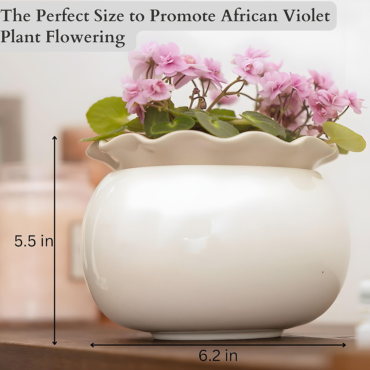 African Violet Pots 6 Inches Ceramic, Effortless Self Watering Pots for Indoor Plants for Busy Plant Lovers, Easy Plant Self Watering Pot, Plant Pots, Flower Pot, Plant pots Indoor