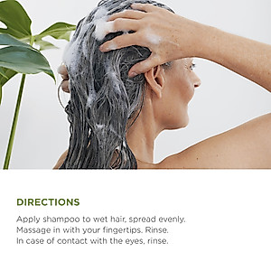 Lazartigue Fortify Densifying Shampoo, Enriched with Guarana and Ricinus, Strengthens Fragile Hair, Stronger Appearance, Perfect for Everyday Usage, Vegan, Lemon, 8.4 Oz