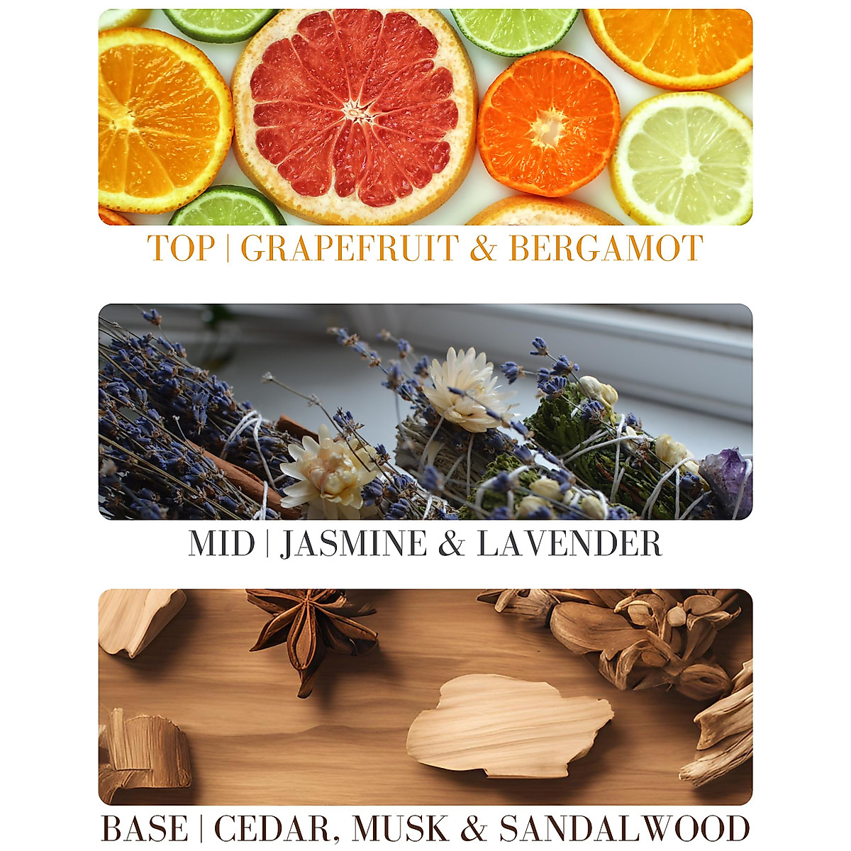 Bleu for Men Perfume Roll On with Essential and Fragrance Oils and Organic Jojoba Oil, Alcohol Free, Eau de Toilette, Made in California