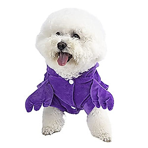 Mogoko Purple Dinosaur Dog Costumes Halloween Cosplay Pet Costume Dog Hoodie for Puppy Small Dog Cat Cute Cat Apparel Size XL