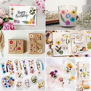 Knaid Pressed Flower Themed Stickers (Assorted 486 Pieces, 36 Sheets) Dried Floral Resin Stickers Decals Botanical Journaling Sticker for Scrapbook Supplies Junk Journal Bullet Journal Planner Laptop