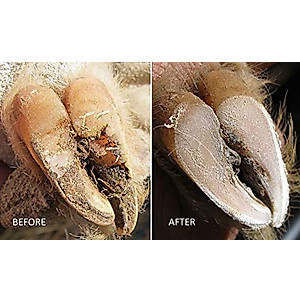 Basic Goat Hoof Trimmer Set - Battery Powered – Requires 20 Volt Battery Not Included