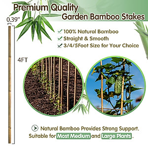 Bamboo Stakes,4FT Natural Bamboo Garden Stakes,BOVITRO 25Pcs Bamboo Plant Stakes,Bamboo Sticks for Tomato,Beans,Vegetable and Climbing Plants