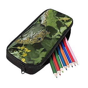 Parprinty Girls Boys School Backpack with Lunch Box Pencil Case Comfy Padded Lightweight Toad Backpack Set Kids Cute Bookbag Insulated Lunch Bag Student Large Capacity Daypack 17 Inch