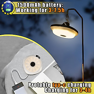 AMESEDAK Camping String Lights, 2 in 1 USB Rechargeable Outdoor String Lights(32.8Ft)