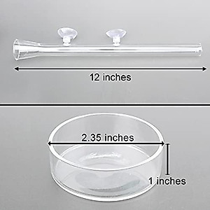 Alfie Pet - Dexter 2 Dishes and 2 Tubes Set Clear Glass Shrimp or Axolotl Feeding Tube with Dish - Size: 30 cm