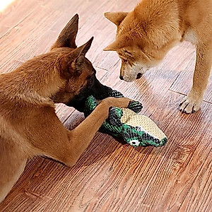 Tikaton Dog Plush Toys - Squeaky Puppy Chew Toy for Teething, Training, Boredom and Stimulating, Perfect Durable Present for Small Medium Large Breeds with Cute Crocodile Shape