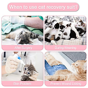 Due Felice Cat Surgery Recovery Suit Small Dog Surgical Recovery Onesie Pet After Surgery Wear for Female Male Cat Doggy Pink Heart/Medium