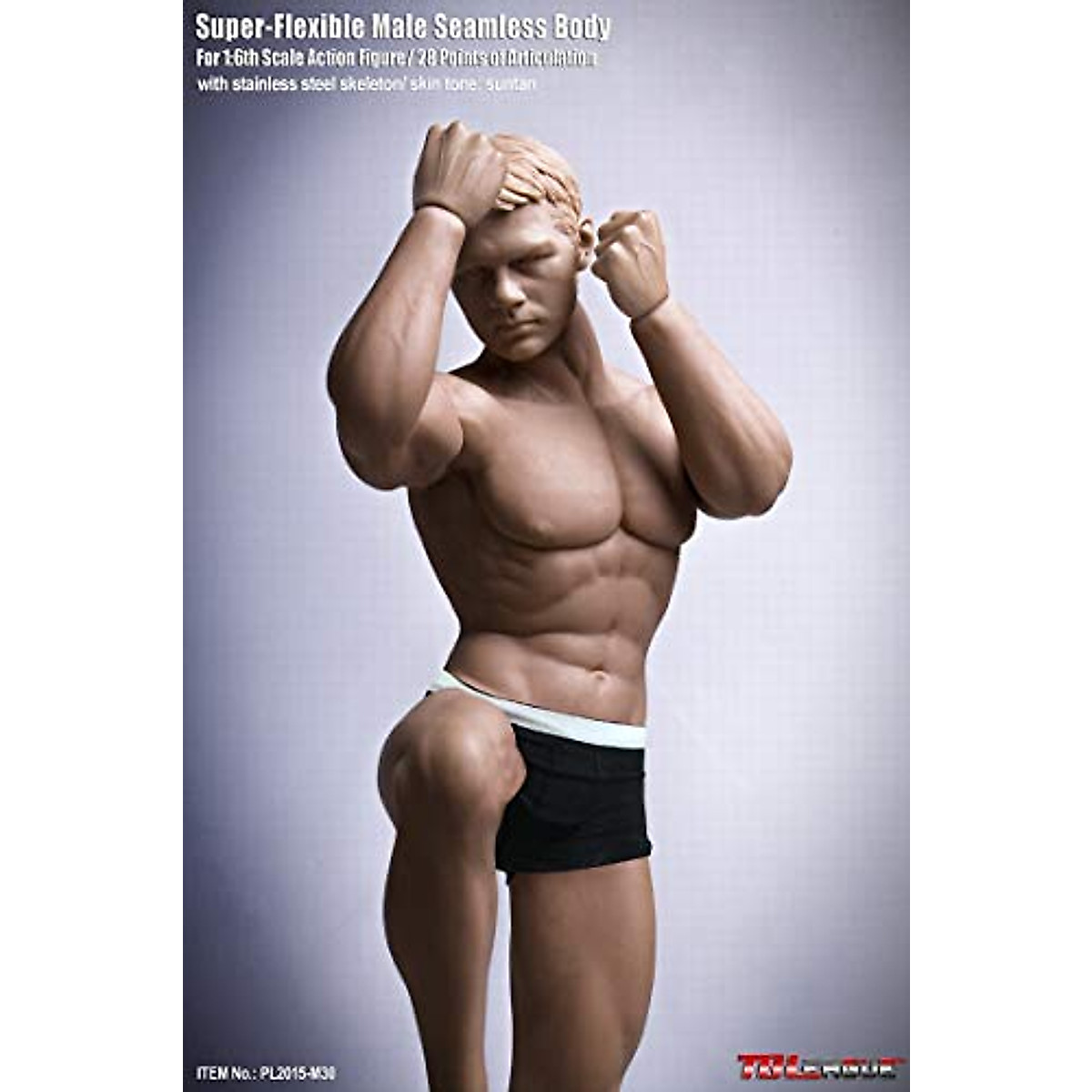 HiPlay TBLeague 1/6 Scale Seamless Male Action Figure Body- 12 Inch Super Flexible Collectible Figure Dolls (M30)