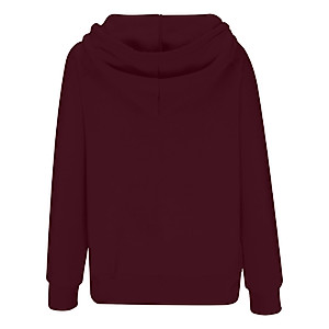 WPNMASNP Womens Fall Hoodies Drawstring Casual Long Sleeve Blouses Fashion Plus Size Tees Y2k Oversized Pullovers Trendy Tops Wine
