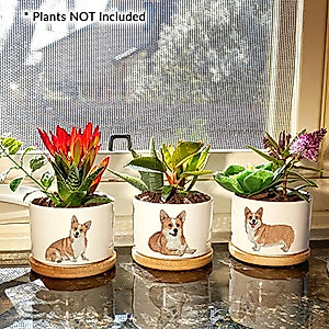 GIFTGIRL Corgi Gifts for Corgi Lovers - Our Corgi Succulent Planters Make Great Corgi Gifts for Women and are Perfect Corgi Gifts for Girls. All Corgi Lovers, Love Corgi Gifts