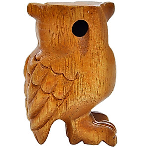 Wooden Guiro Rasp Instrument - Frog, Cricket and Owl Set 3, Musical Percussion Tone Block Craft