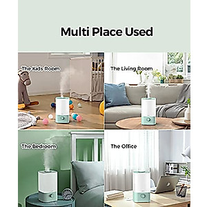 raydrop Cool Mist Humidifier Diffuser, 2.5L Essential Oil Diffuser, Top Fill Humidifier for Bedroom, Home and Office, Baby Humidifier with Adjustable Mist Output, Sleep Mode, Auto Shut Off