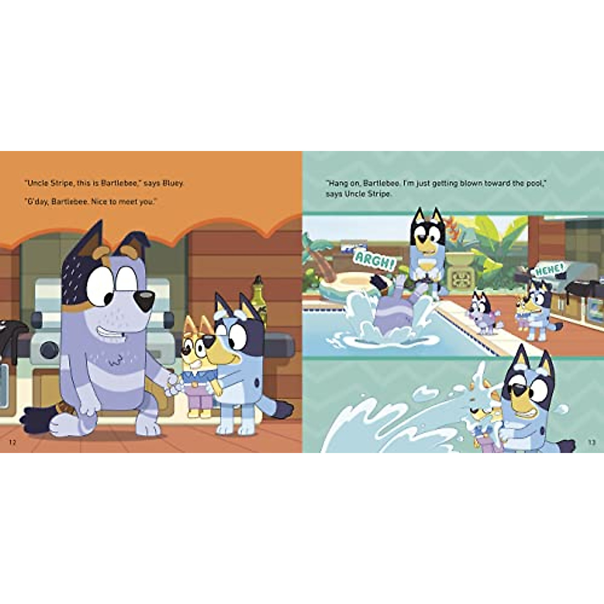 Bluey: Christmas Swim