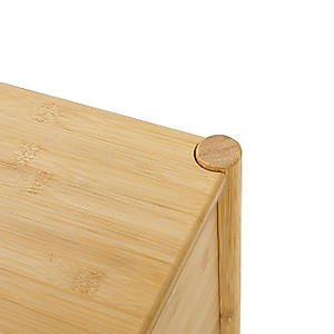 Rattan Nightstand 2 Drawer, Bamboo and Rattan Mid Century Modern Nightstand, Bedside Table Accent End Table Side Table for Bedroom, Living Room (Natural + Bamboo)