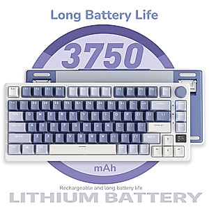 RK ROYAL KLUDGE M75 Mechanical Keyboard with OLED Smart Display and Volume Knob, 2.4G/USB-C/BT Gasket Mounted 75% Layout Wireless Gaming Keyboard with 81 Keys, RGB Backlit Hot-Swappable Red Switch