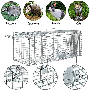 Large Animal Trap for Adult Cat, Rabbit Groundhog Squirrel Raccoon Mole Gopher Chicken Opossum Skunk Chipmunk, 32inch Live Traps for Animals Outdoor Indoor Collapsible Steel Release Animal Cage