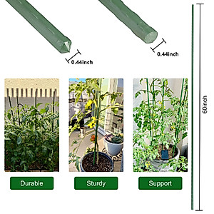 Garmeinea Garden Stakes 60 Inches Plastic Coated Steel Plant Stakes for Growing Climbing Plants, Pack of 25