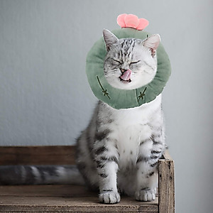 POPETPOP pet Collar Rabbit Recovery Collar Kitten Neck Cone Kitten Recovery Collar cat Cone Collar After Surgery Collar Stuffed Kitten Dog Recovery Collar Kitten Cone Collars The cat Plush