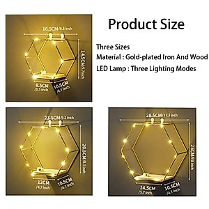 Liywall - Hexagon Floating Shelves Wall Decor, Gold Metal Wire and Wood Wall Mounted Storage Shelf Home Decorations Art for Bedroom Living Room Kitchen Bathroom, Set of 3 with LED Lights