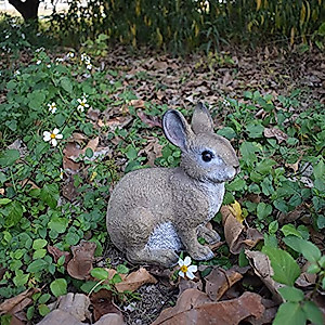 Rabbit Resin Animal Garden Statue Outdoor and Garden Decor Patio Yard (Rabbit 8.5 inch)