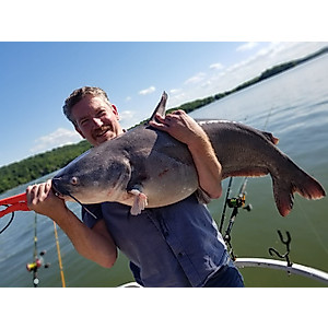 FIRE STIK The 7'6" Catfish Casting Rod Fishing
