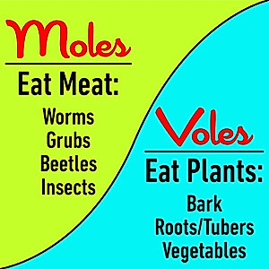 I Must Garden Mole & Vole Repellent: Professional Strength – Twice The Coverage – All Natural Ingredients - Pleasant Scent - 10lb