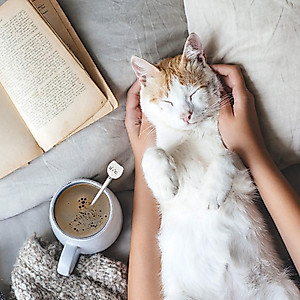 6 Pieces Cat Coffee Spoon Cute Stainless Steel Cat Head Spoon, Lovely Spoon, Ice Cream Dessert Spoon for Stirring Tea Coffee Sugar Dessert (Black, White)