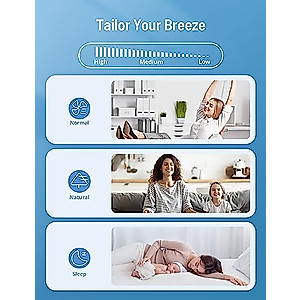 Paris Rhône Portable Air Conditioners 3-IN-1 Evaporative Air Cooler, 3 Speeds Air Conditioner Portable for 1 Room with Remote, 12H Timer, 60° Oscillation Swamp Cooler Fans for Bedroom