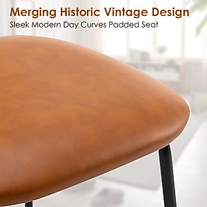 Soohow Faux Leather Indoor Kitchen Set of 2 with Rattan Backrest Modern Industrial Upholstered mid Century Metal Chair Set of 4 Suitable for Dining Room, 4 pcs, Z-Whiskey Brown