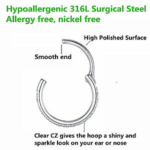 BLESSMYLOVE Clear CZ Silver 20G 8mm Nose Rings Hoop 316L Surgical Steel 20 gauge Cartilage Earrings Conch Daith Helix Rook Tragus Lobe Snug Body Piercing Jewelry Stainless Hinged Segment Lip