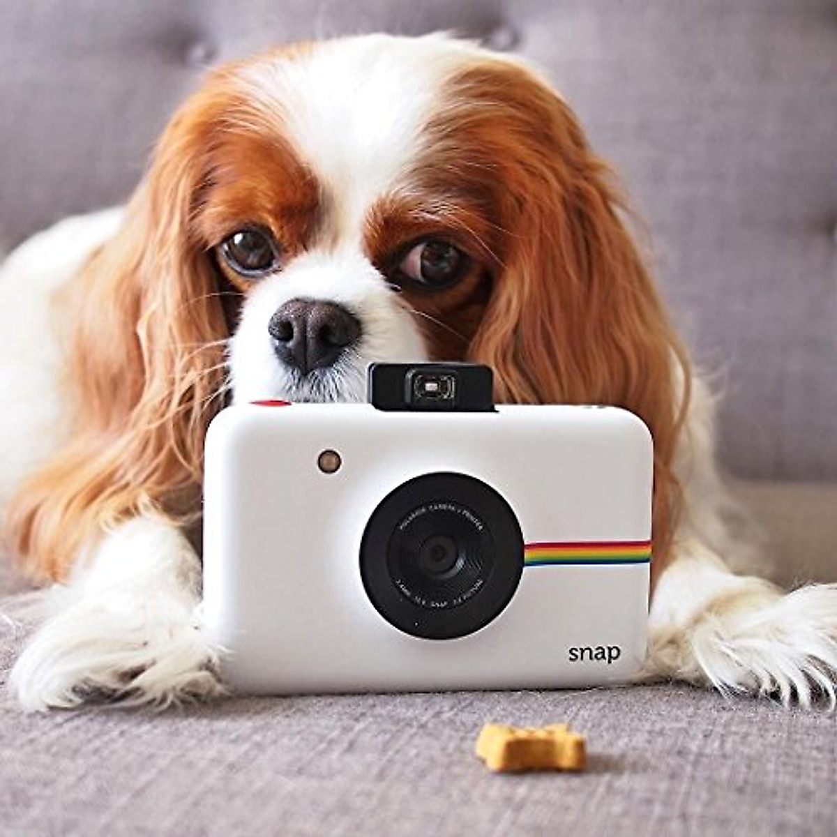 Zink Polaroid Snap Instant Digital Camera (White) with ZINK Zero Ink Printing Technology