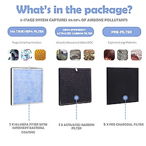 Ulrempart Replacement Air Filter Compatible with RENPHO Model RP-AP001, RP-AP002, RP-AP001S, 10-Pack Extra Charcoal Filters, 2X Activated Carbon Filter and 2X H13 True HEPA Filter