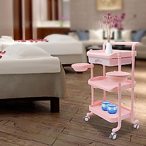 3 Tier Rolling Salon Trolley Stand Be-au-ty S-P-A Storage Organizer Stand Mobile Service Cart Storage Tray for Equipment Hair Salon Tool Rack, 330lbs Loading,18.9x13x33.3in (Pink)